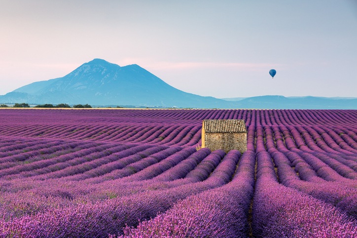 Why the Simple Life Is Not Just Beautiful but Necessary